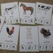 Farm Phonics Clip Cards. Montessori Printable Beginning Sound Activity ...