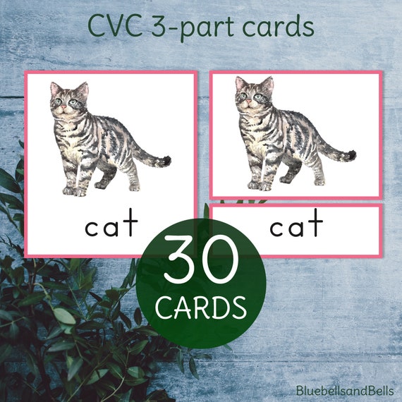 Montessori Printable CVC Phonics 3-part Cards. CVC Words | Etsy