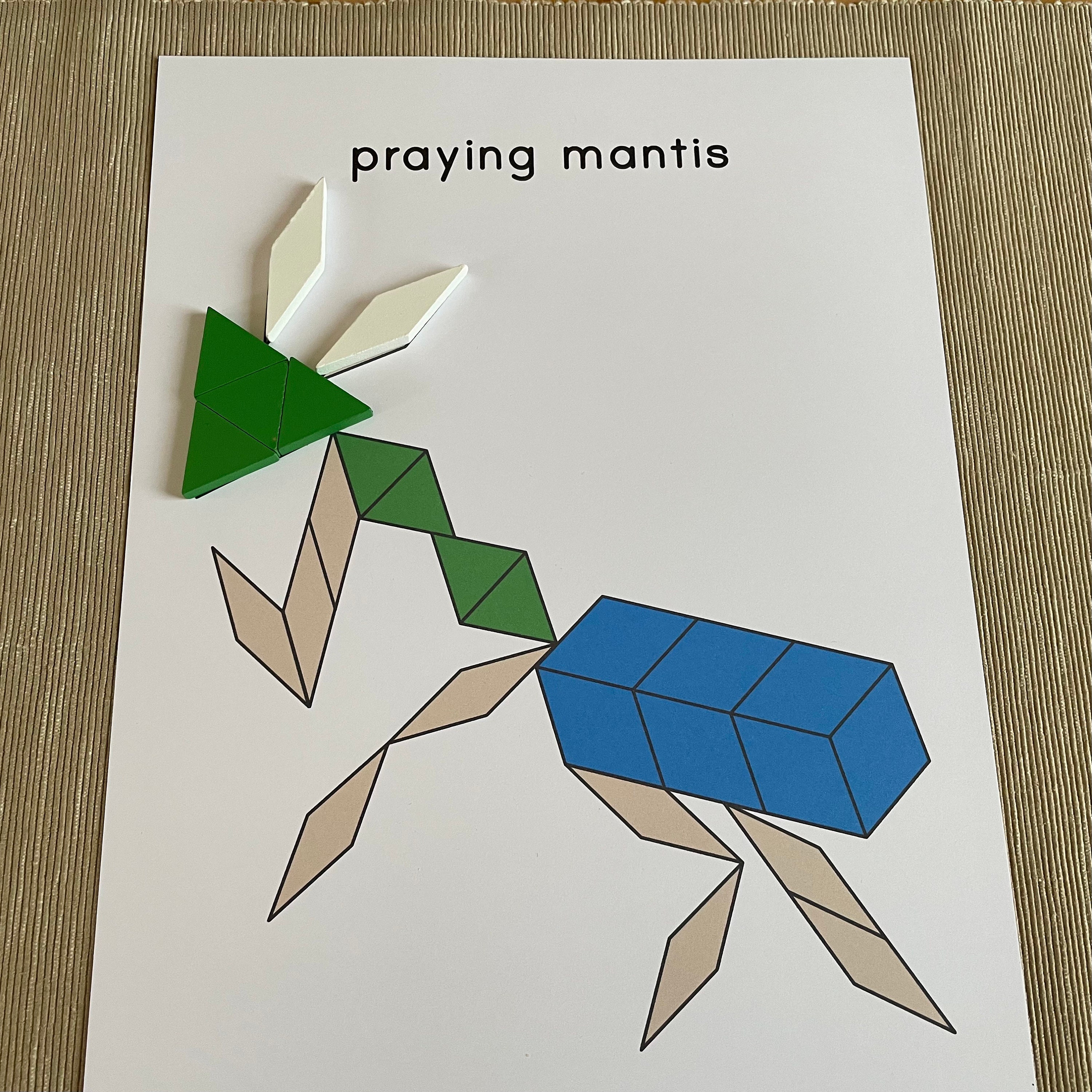 Insect Pattern Blocks Templates. Spring Printable Preschool and ...