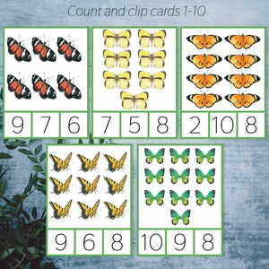 Butterfly Count and Clip Cards 1-10. Preschool Summer Printable ...