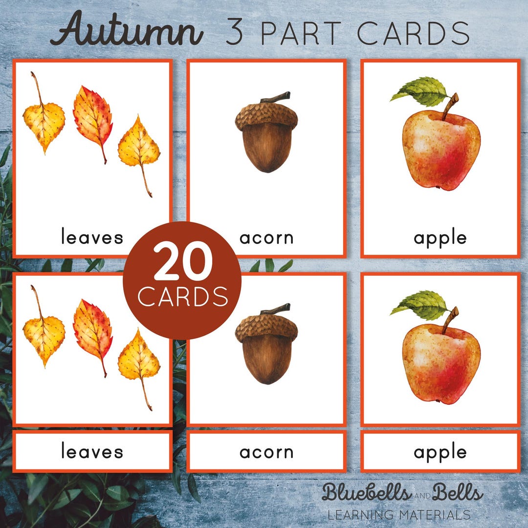 Fall Montessori Printable 3 Part Cards. Autumn Vocabulary for Preschool ...
