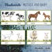 Mother and Baby Farm Animal Matching Cards and Flash Cards. Montessori ...