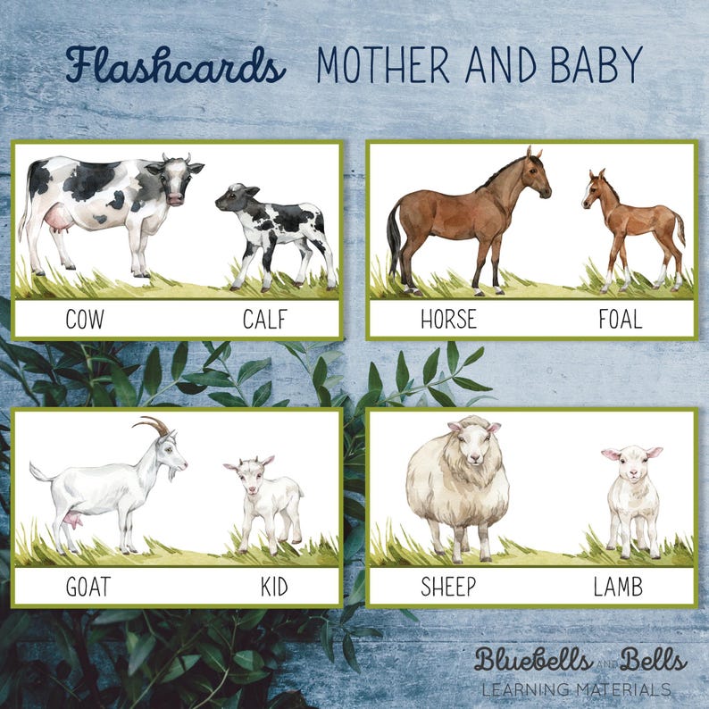 Mother and Baby Farm Animal Matching Cards and Flash Cards. Montessori ...