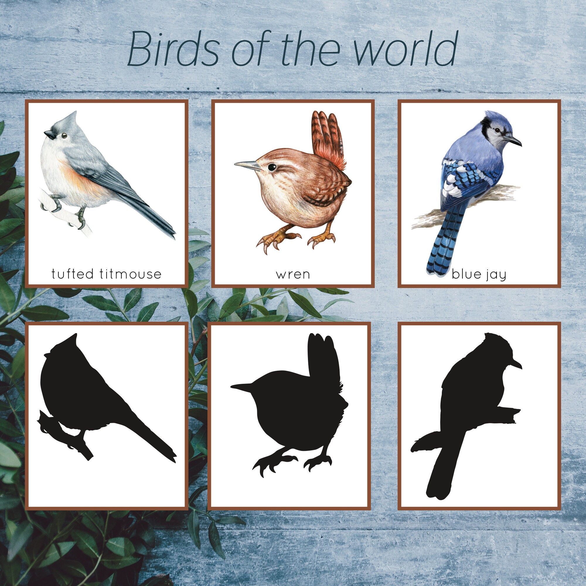 Bird Shadow Matching Flash Cards. Montessori Spring Printable. | Etsy