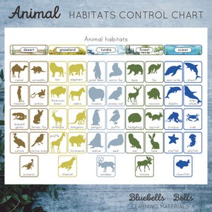 Animal Habitats Sorting Activity and Chart. Montessori Preschool and ...