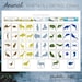 Animal Habitats Sorting Activity and Chart. Montessori Preschool and ...