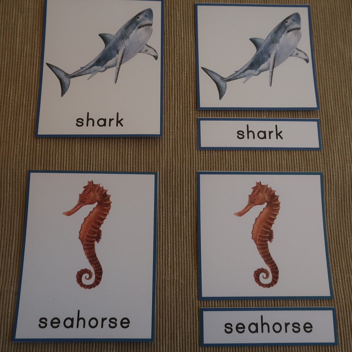 Ocean Montessori Printable 3 Part Cards. Preschool Vocabulary | Etsy