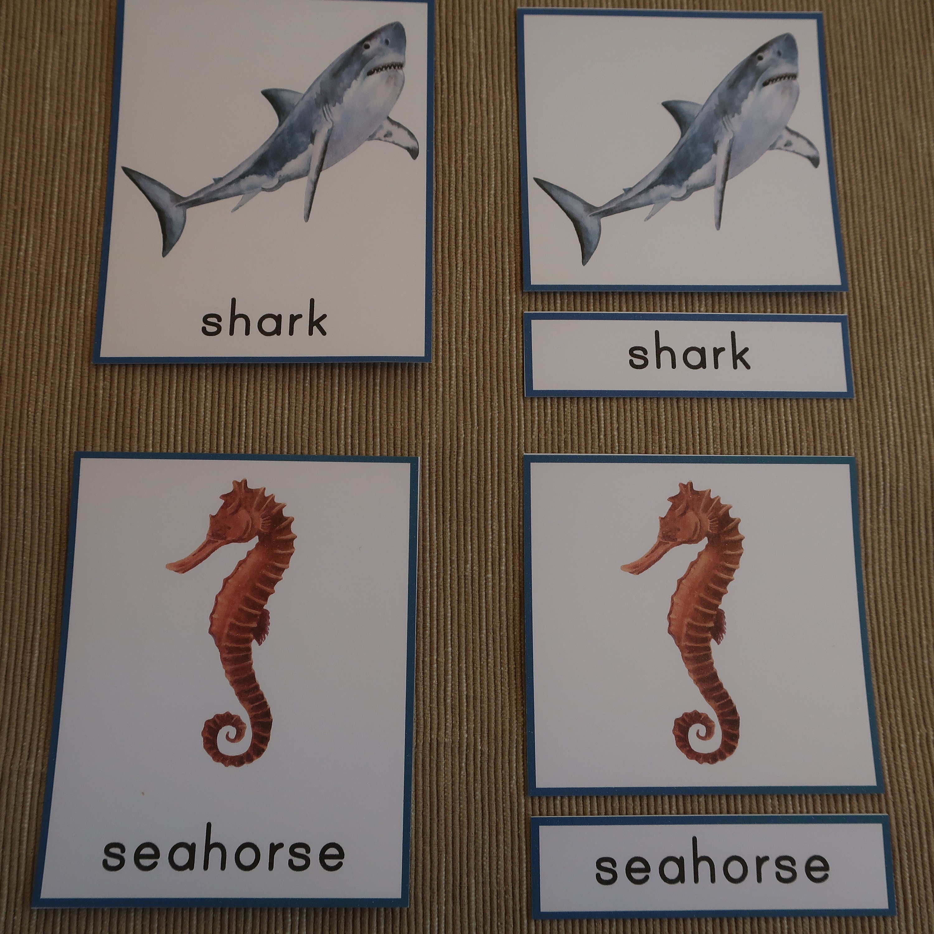 Ocean Montessori Printable 3 Part Cards. Preschool Vocabulary | Etsy