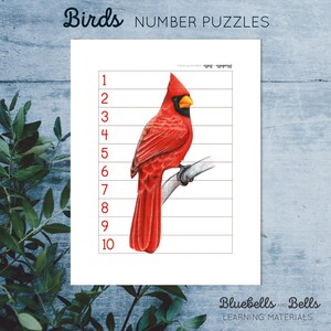 Bird Preschool Printable Number Sequence Puzzles 1-10. Montessori ...