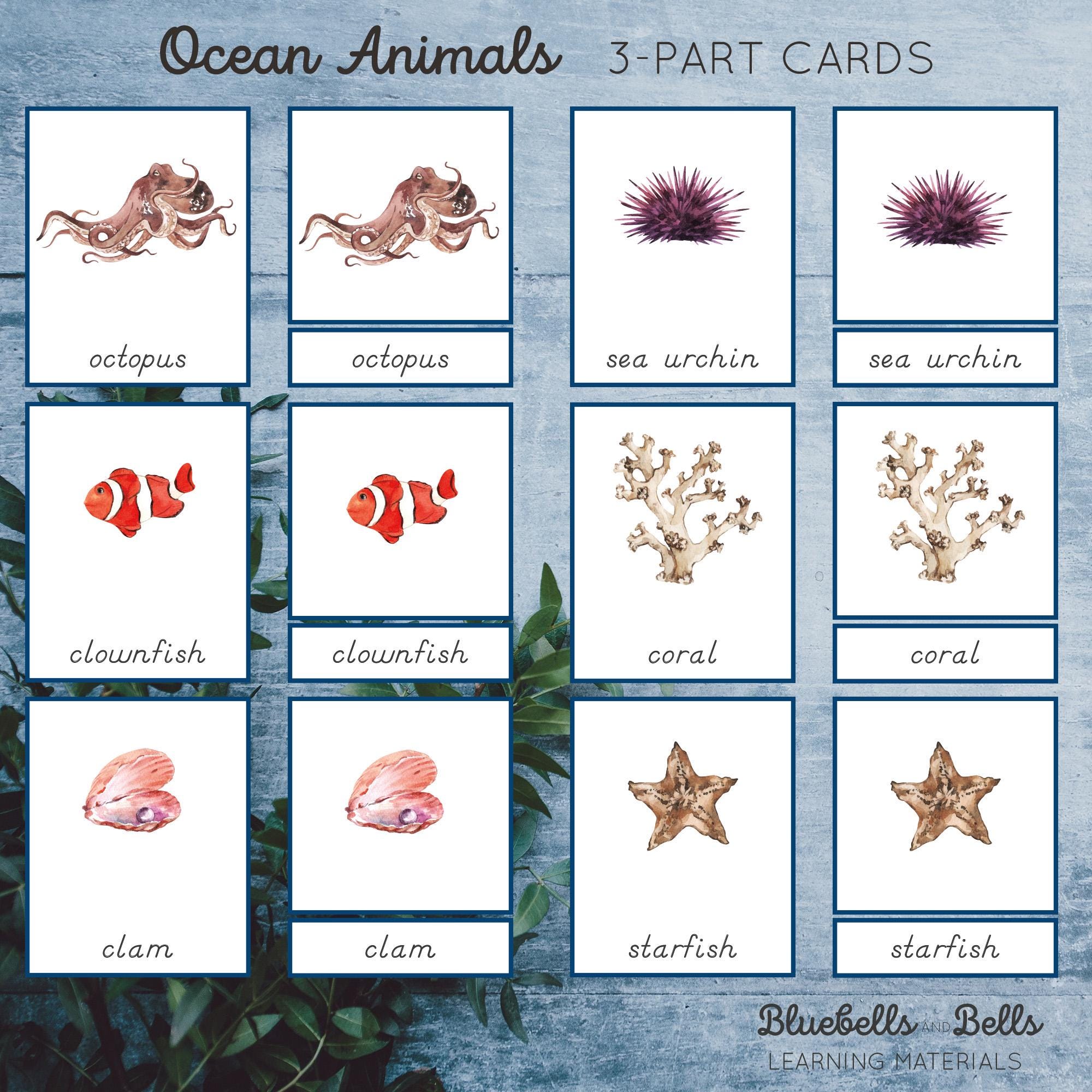 Ocean Montessori Printable 3 Part Cards. Preschool Vocabulary Cards ...