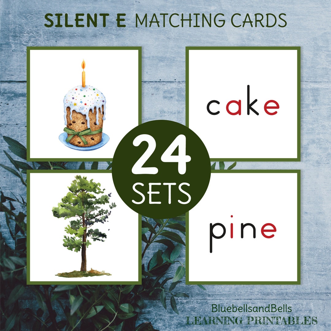 Silent E Montessori Green Series Picture Word Matching Activity. - Etsy