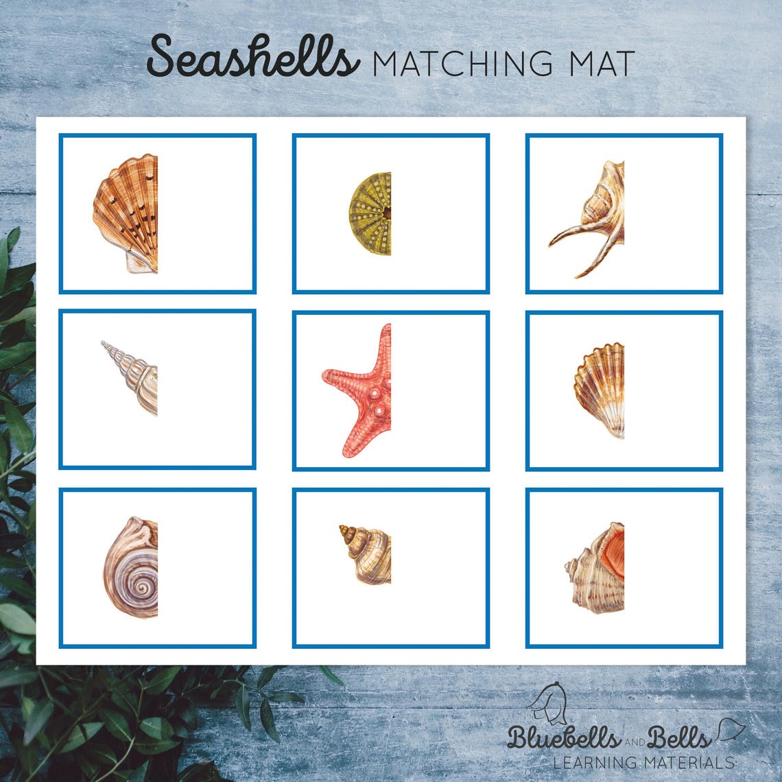 Toddler Summer Puzzle Seashells Halves Matching. Montessori Busy Book ...