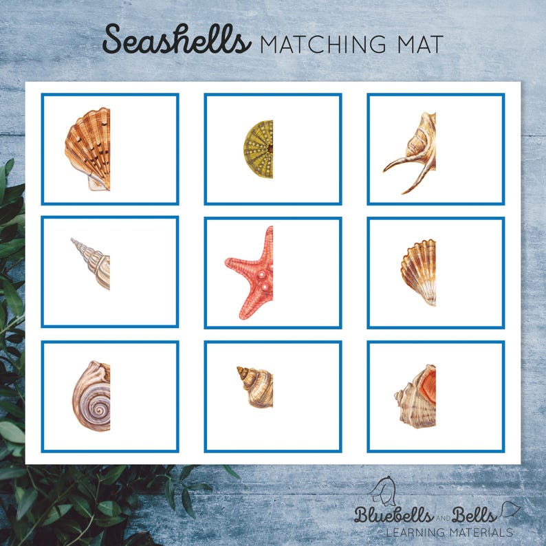 Toddler Summer Puzzle Seashells Halves Matching. Montessori Busy Book ...