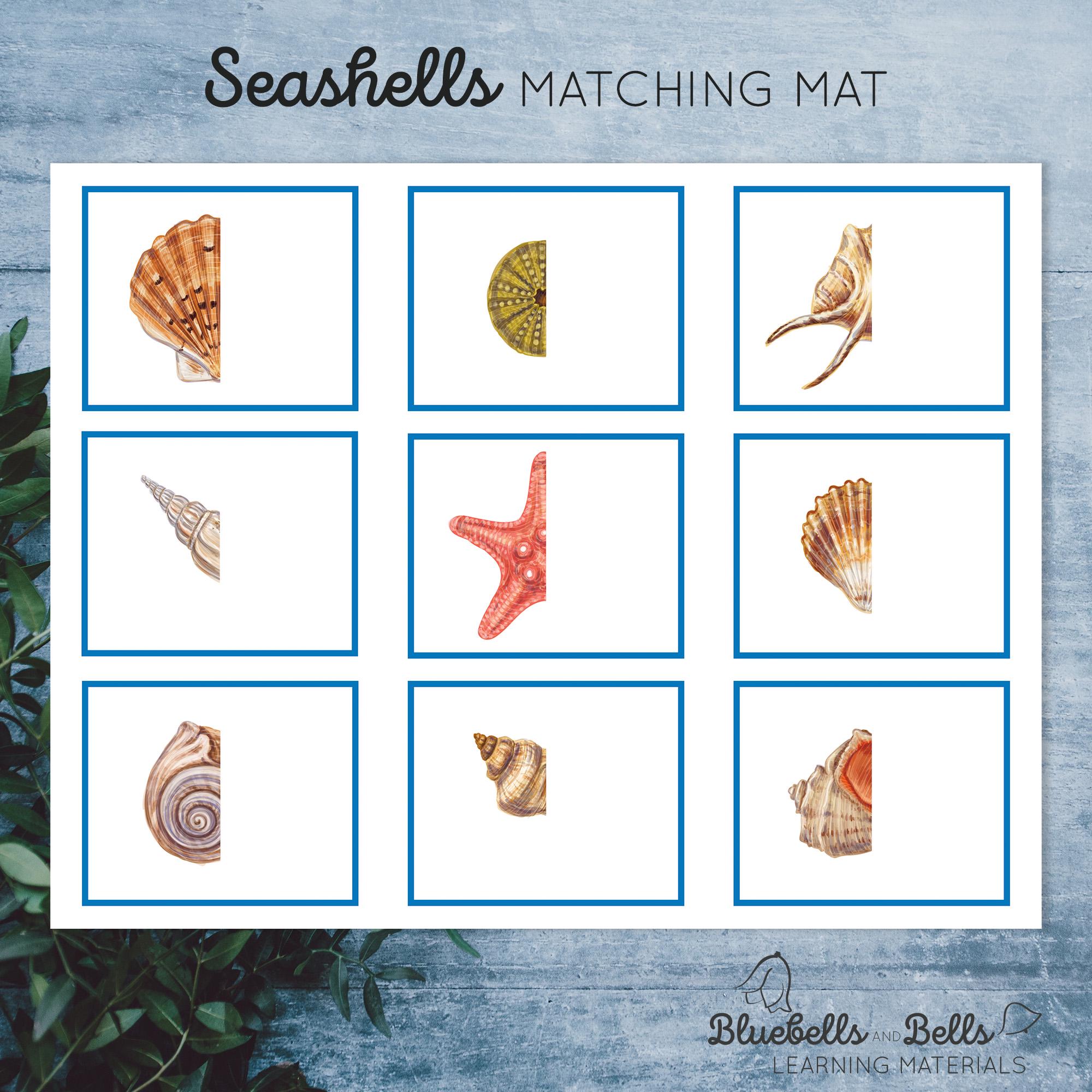 Toddler Summer Puzzle Seashells Halves Matching. Montessori Busy Book ...