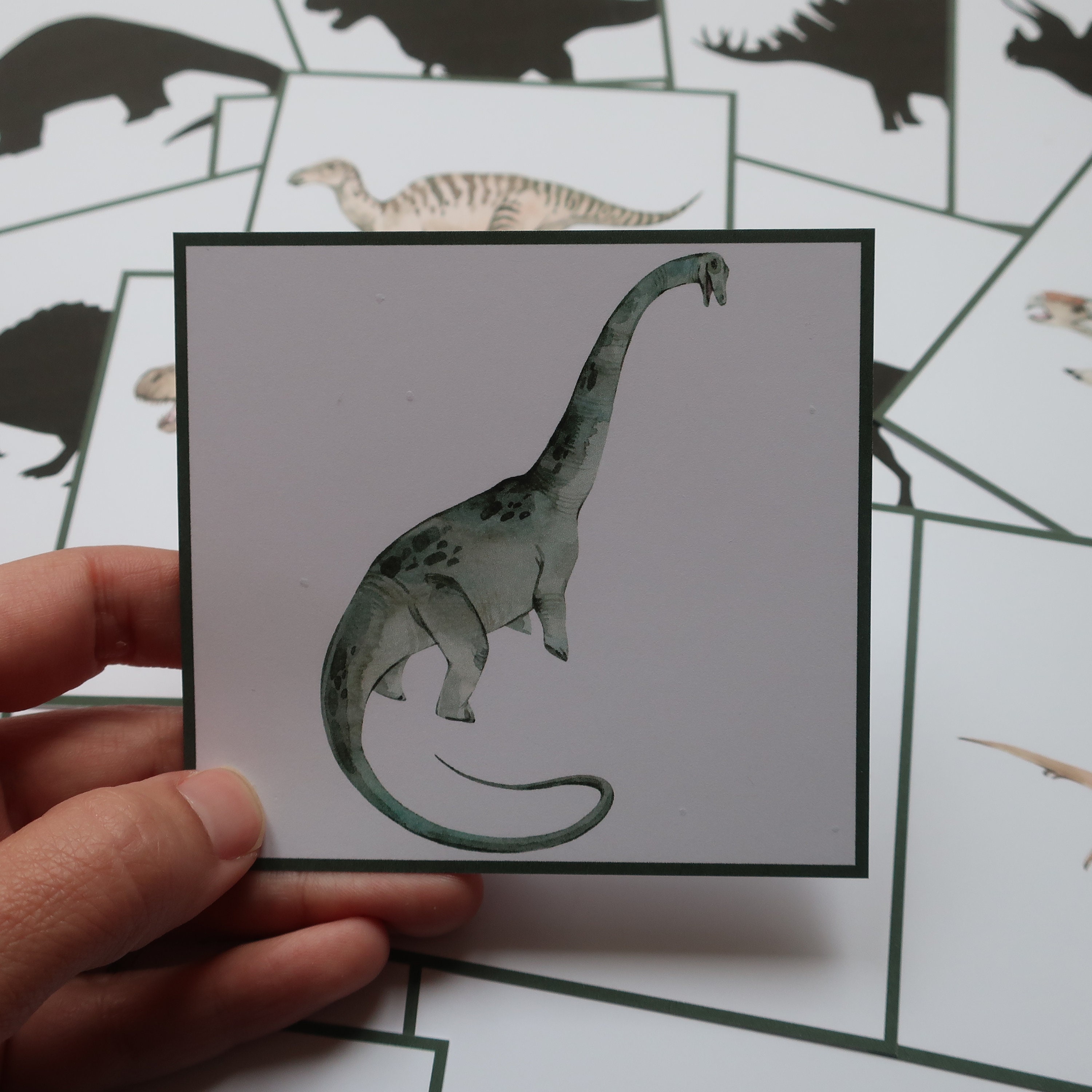 Montessori Printable Dinosaur Shadow Matching Cards. Toddler - Etsy Canada