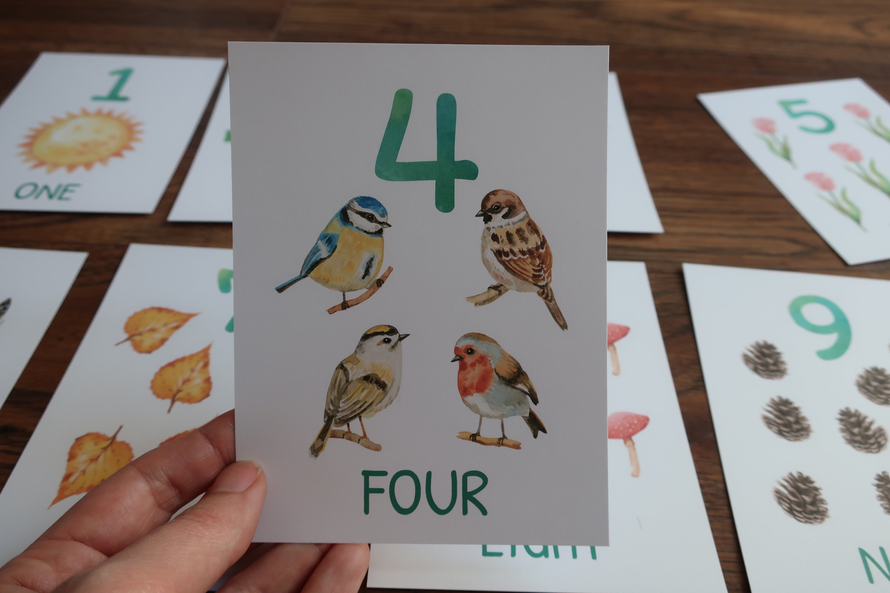 Nature number cards 1-10. Counting cards toddler. Printable | Etsy