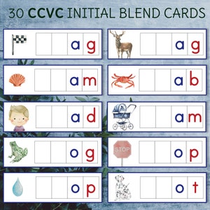 Montessori Printable Moveable Alphabet. CCVC Word Phonics Beginning ...