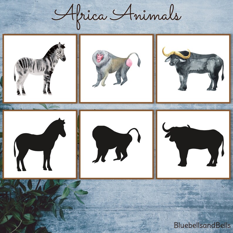 Africa Animal Shadow Matching Cards. Montessori Toddler - Etsy Canada