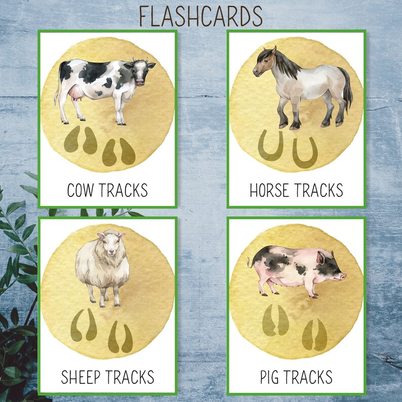 Farm Animal Tracks Flashcards. Montessori Spring Printable. - Etsy