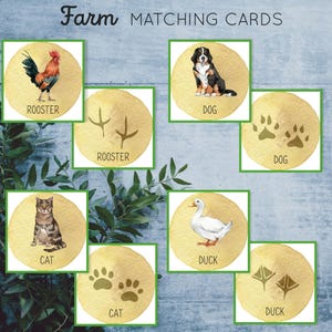 Farm Animal Tracks Flashcards. Montessori Spring Printable. Preschool ...