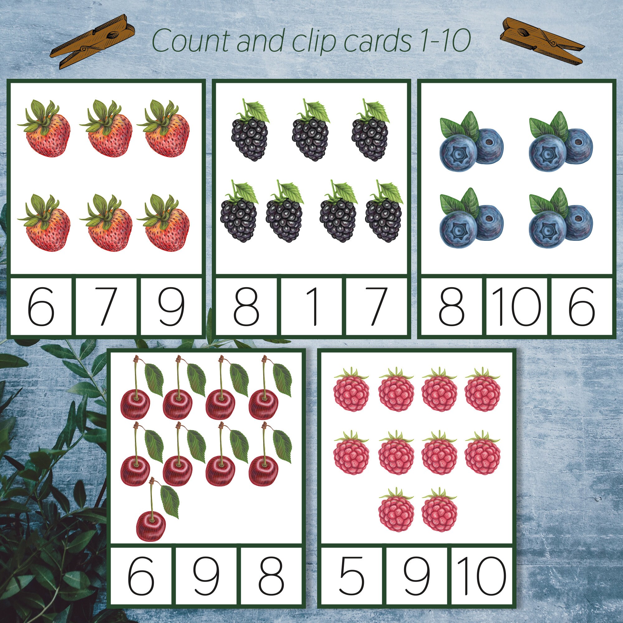 Berries Count and Clip Cards 1-10. Montessori Summer - Etsy