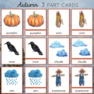 Fall Montessori Printable 3 Part Cards. Autumn Vocabulary for Preschool ...