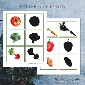Vegetables Printable Shadow Matching Cards. Montessori Toddler Activity ...