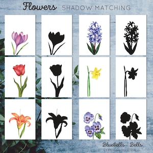 Flower Printable Shadow Matching Cards. Montessori Spring Preschool ...