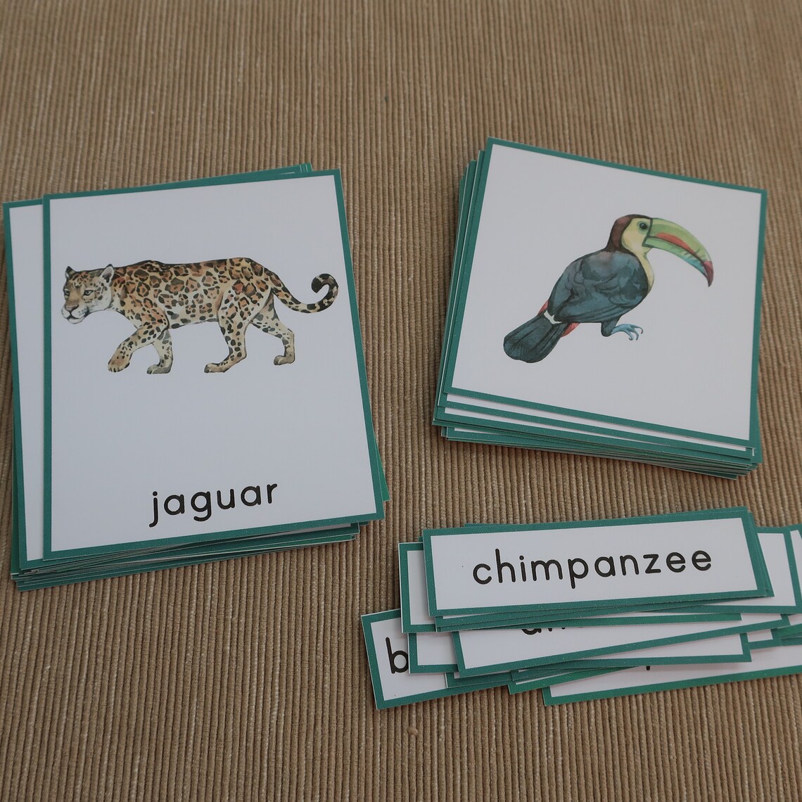 Rainforest Animals Montessori Printable 3 Part Cards. - Etsy