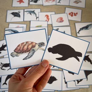 Ocean Animal Shadow Matching Cards. Montessori Summer Preschool ...