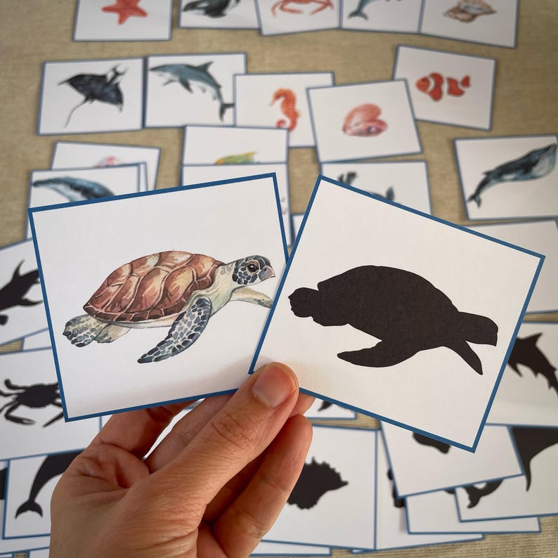 Ocean Animal Shadow Matching Cards. Montessori Summer Preschool ...