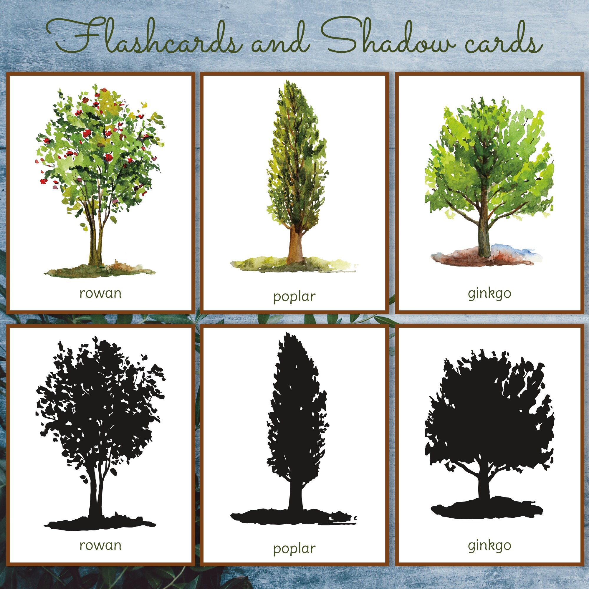 Trees Flash Cards and Shadow Matching Cards. Watercolor - Etsy UK