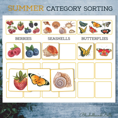 Toddler Category Sorting Printable. Montessori Matching - Etsy