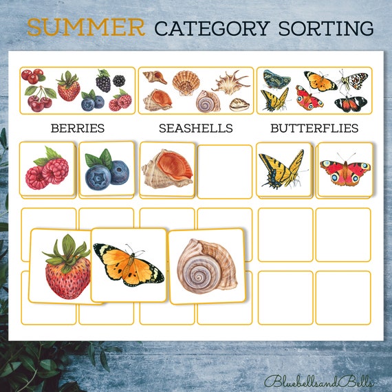 Summer Preschool Montessori Printable Category Sorting - Etsy