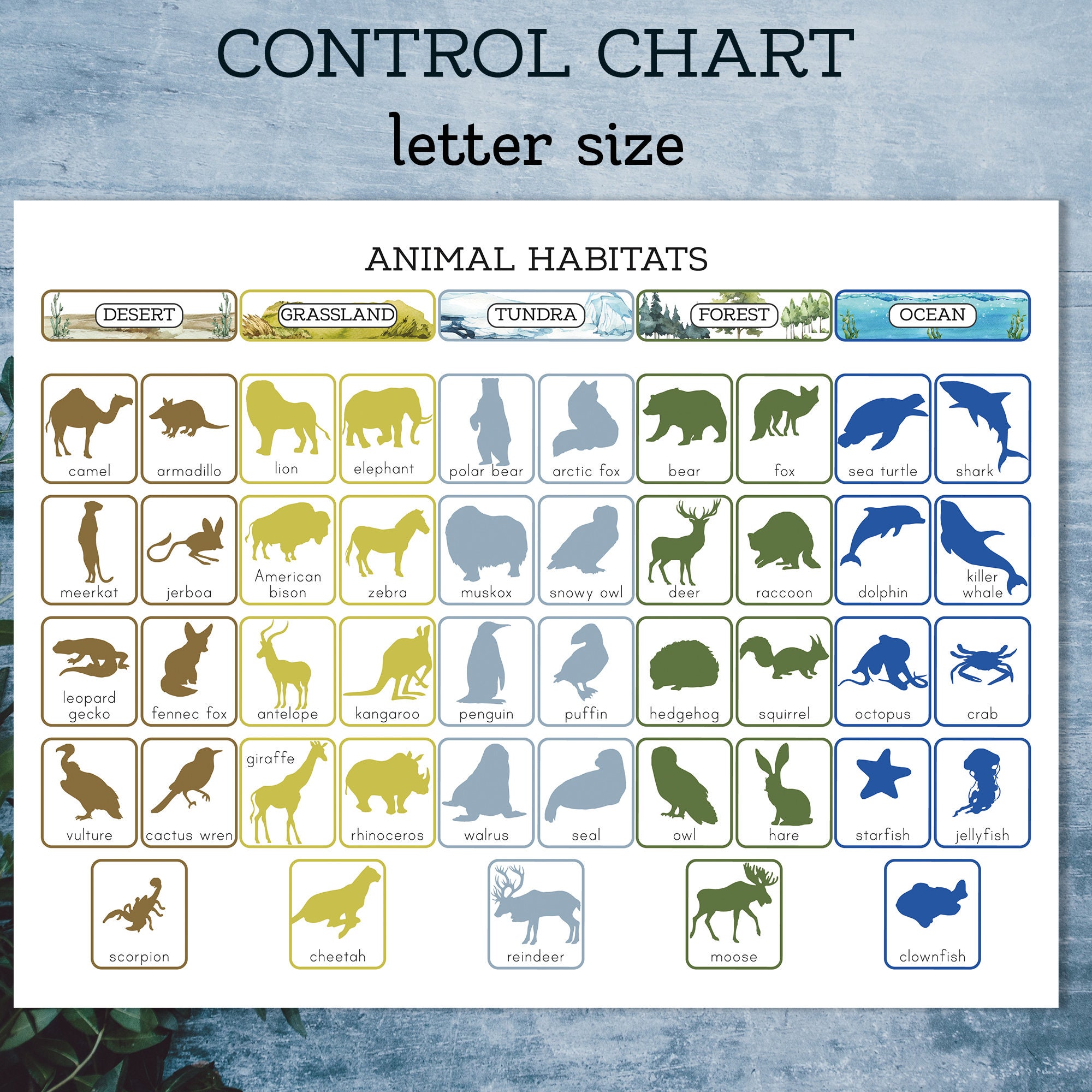 Animal Habitats Sorting Activity and Chart. Montessori - Etsy Canada