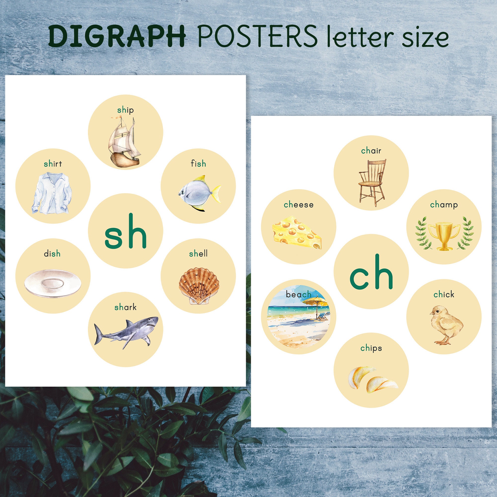 Digraph Posters. Phonics Printable Matching Activity. - Etsy UK