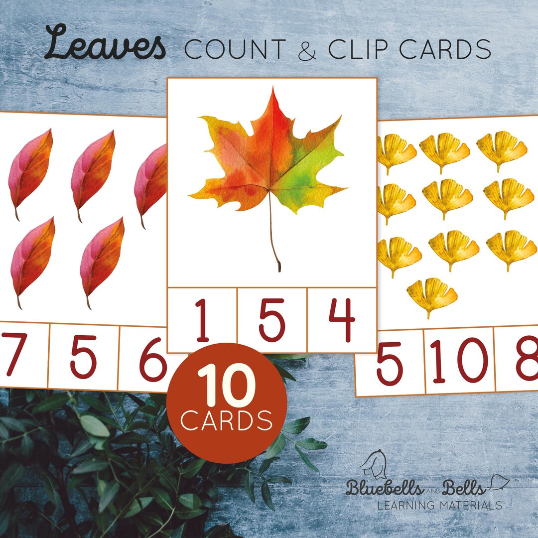 Fall Leaves Counting Cards 1-10. Montessori Math Printable. - Etsy