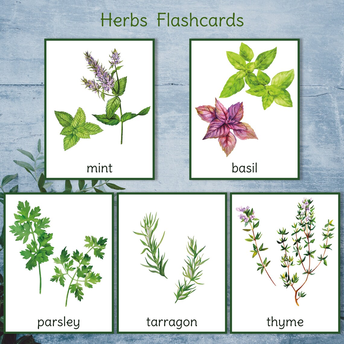 Herbs printable flashcards. Nature watercolor cards. | Etsy
