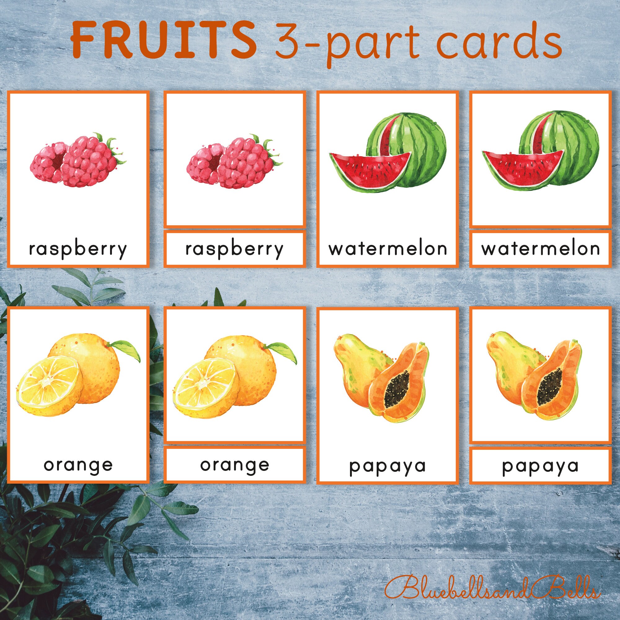 Fruits Montessori Three Part Cards. Vocabulary Activity for - Etsy