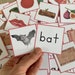 Montessori Printable CVC Word and Picture Matching Activity. Pink ...