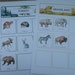 Animal Habitats Sorting Activity and Chart. Montessori Preschool and ...