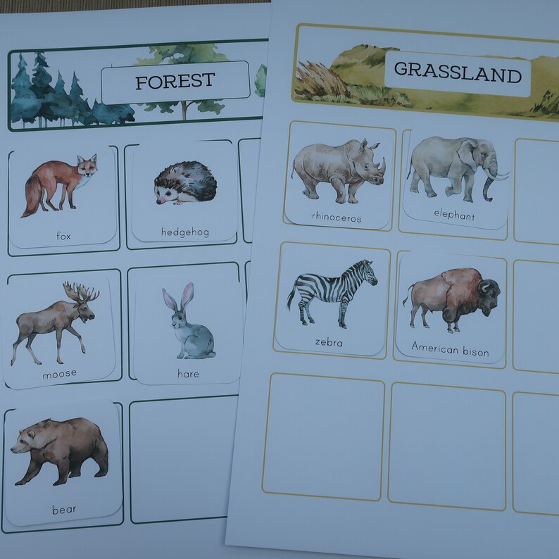 Animal Habitats Sorting Activity and Chart. Montessori - Etsy