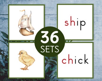 Digraphs CH, Qu, SH, TH Clip Cards montessori Green Series Language ...