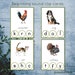 Farm Phonics Clip Cards. Montessori Printable Beginning Sound Activity ...