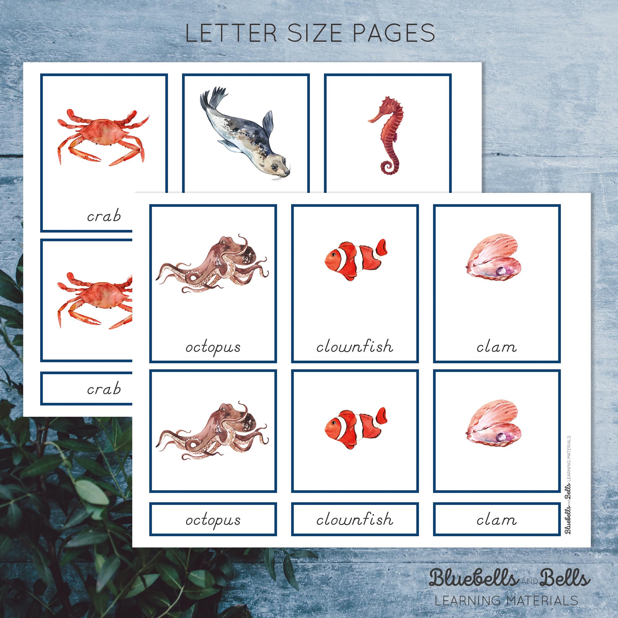 Ocean Montessori Printable 3 Part Cards. Preschool Vocabulary Cards ...