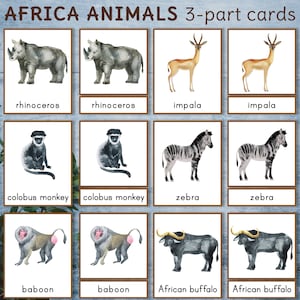 Africa Animals Montessori 3 Part Cards. Preschool and Kindergarten ...