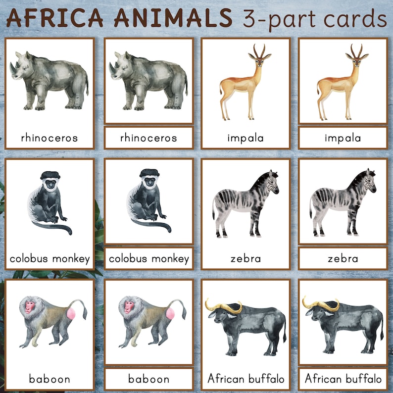 Africa Animals Montessori 3 Part Cards. Preschool and - Etsy