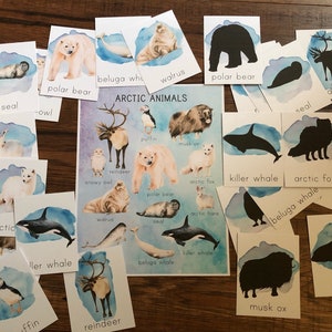 Arctic Animals Montessori Printable. North Pole Animals Toddler ...
