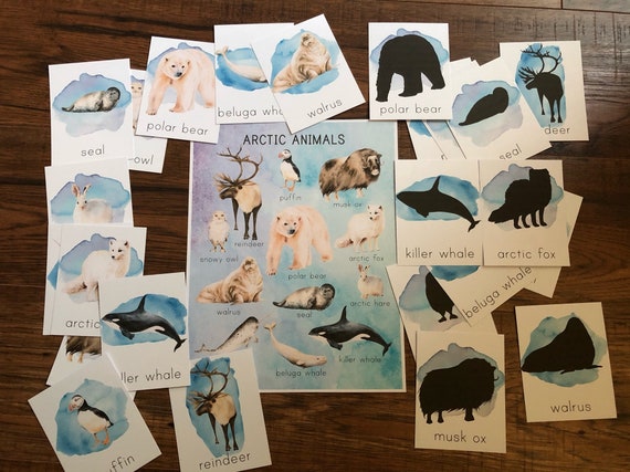 Bricolages Sur Les Animaux De L'arctique Pour Les Enfants Animaux