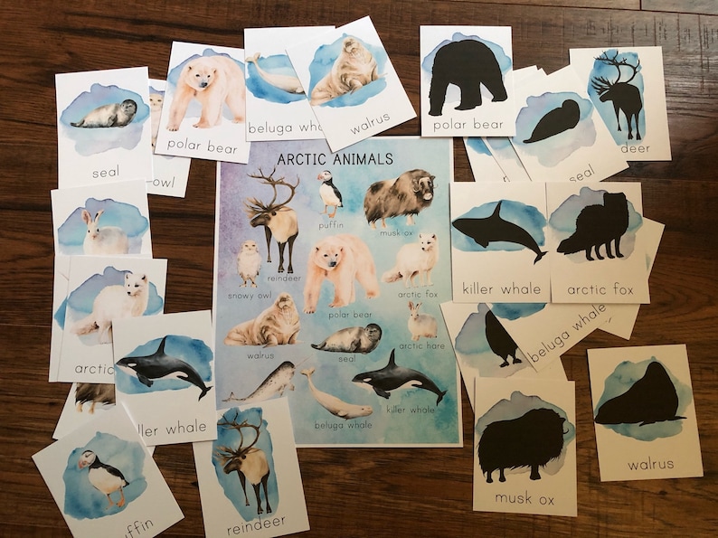 Arctic Animals Montessori Printable. North Pole Animals | Etsy